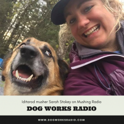Mushing Radio presents Sarah Stokey | Dog Works Radio