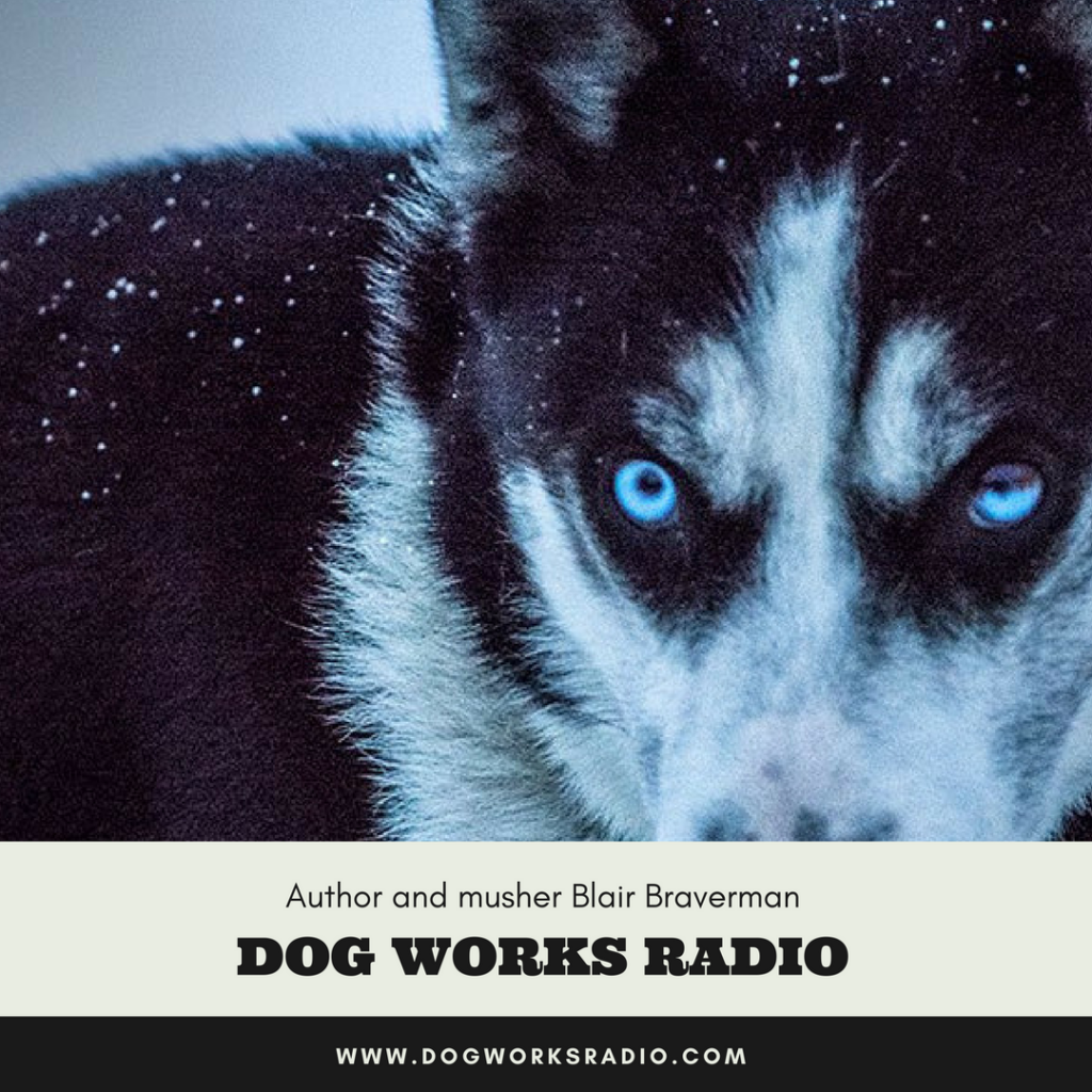 Mushing Radio: Dog Power Movie | Dog Works Radio