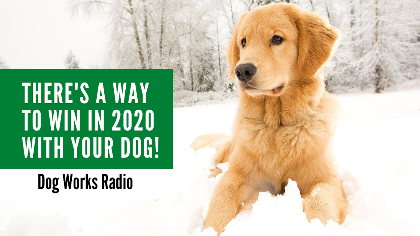 There is a way to win in 2020 with your dog | Dog Works Radio