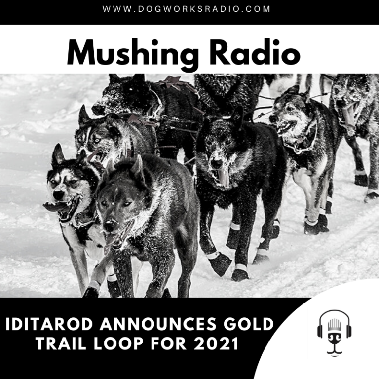 Iditarod Announces Gold Trail Loop for 2021 | Dog Works Radio