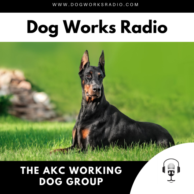 The AKC Working Dog Group | Dog Works Radio