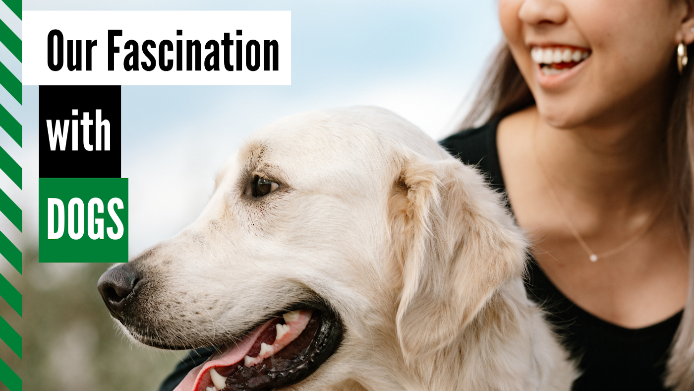 Our Fascination with Dogs | Dog Works Radio