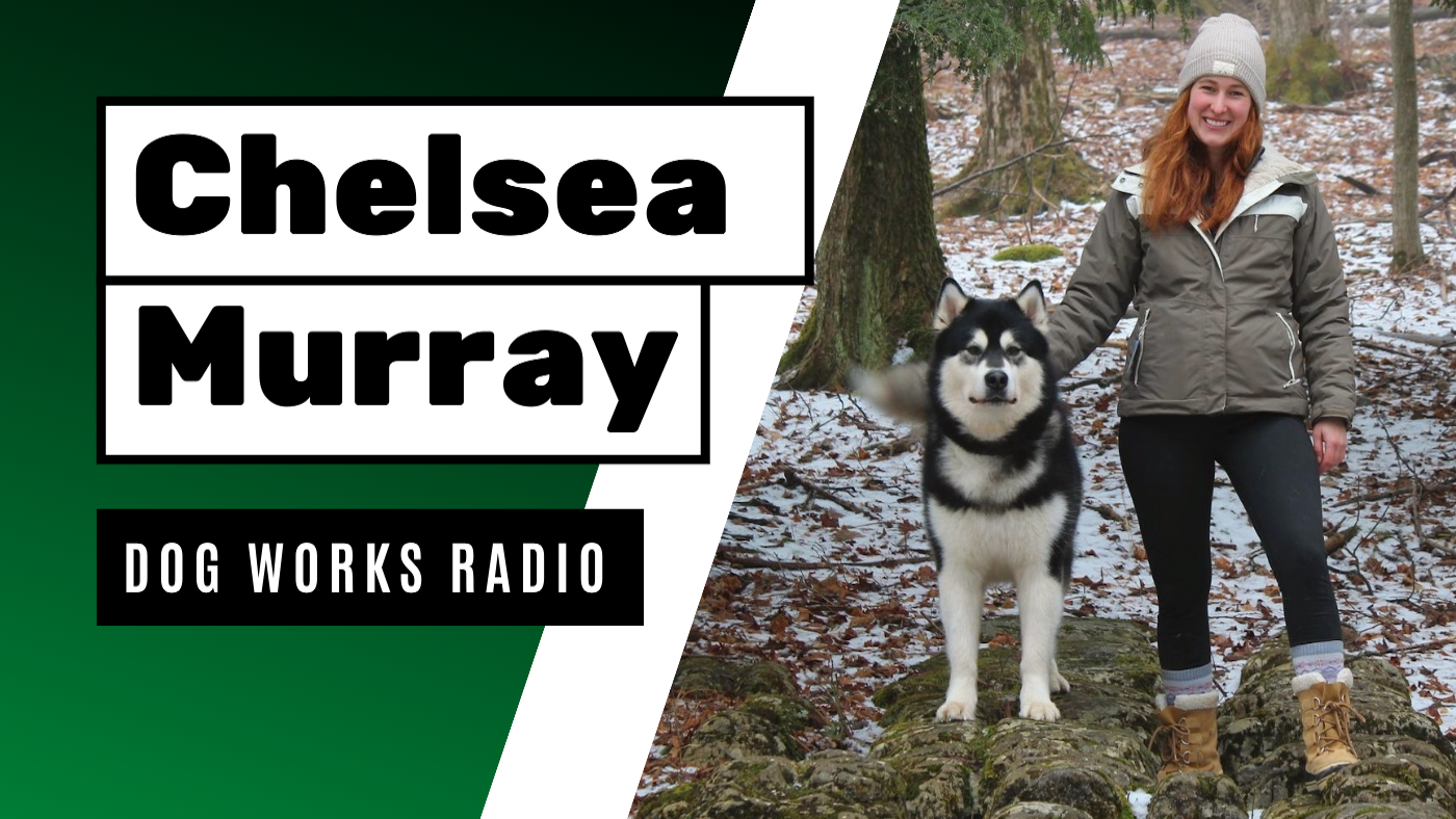 Interview with professional dog trainer and podcaster Chelsea Murray ...