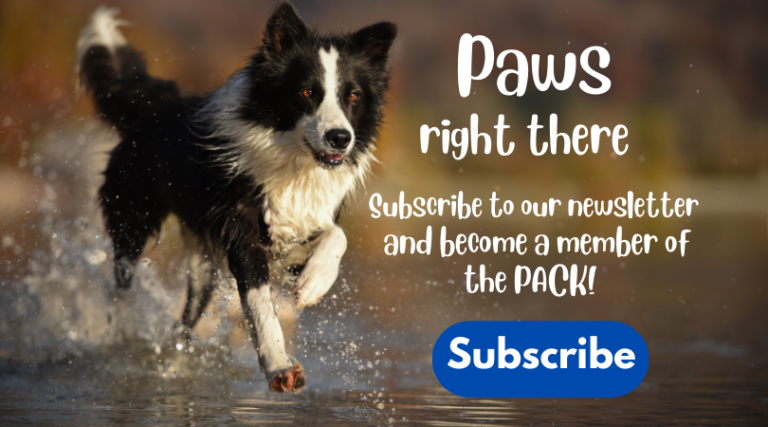 The AKC Working Dog Group | Dog Works Radio