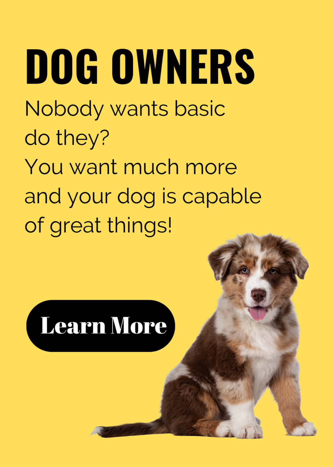 The AKC Working Dog Group | Dog Works Radio