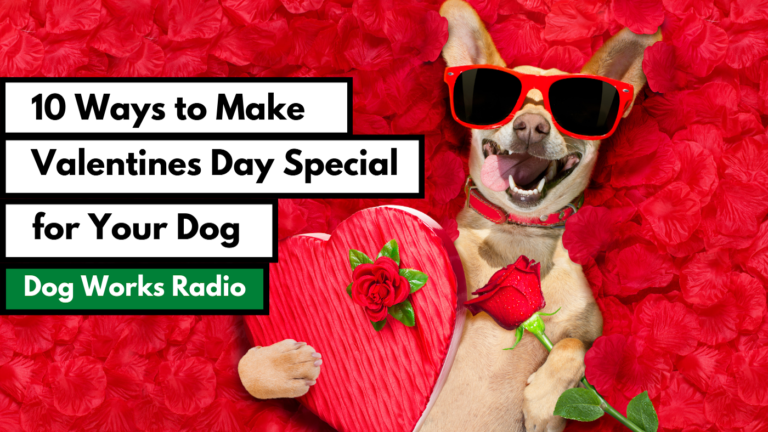 10 Ways to Make Valentine's Day Special for Your Dog | Dog Works Radio