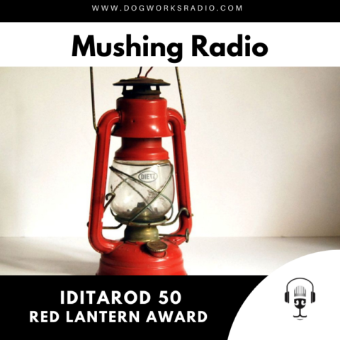 Iditarod 50: Red Lantern Award | Dog Works Radio
