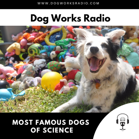 The Most Famous Dogs of Science | Dog Works Radio