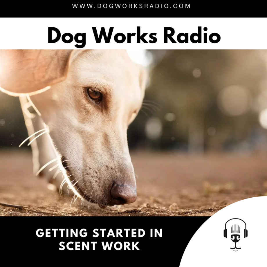 Getting Started with Scent Work | Dog Works Radio