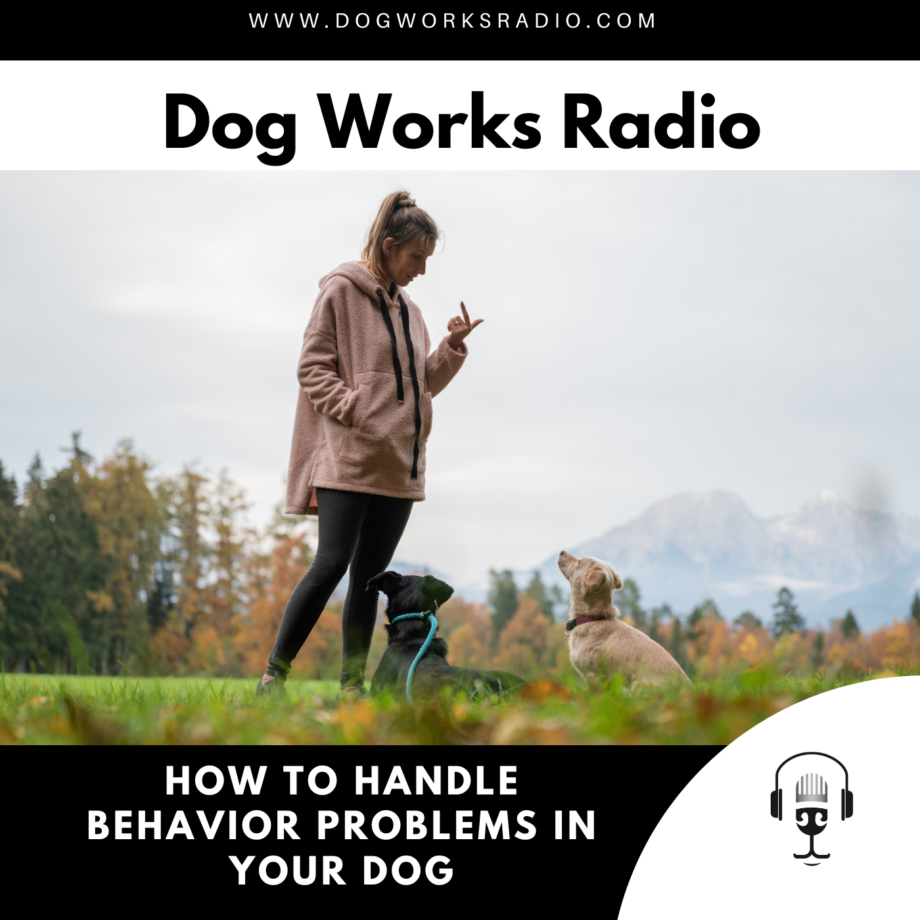 How to Handle Behavior Problems in Your Dog | Dog Works Radio