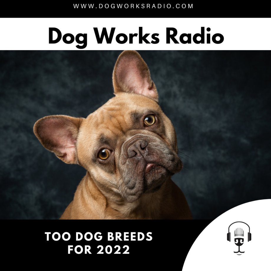 The Top Dog Breeds of the Year | Dog Works Radio