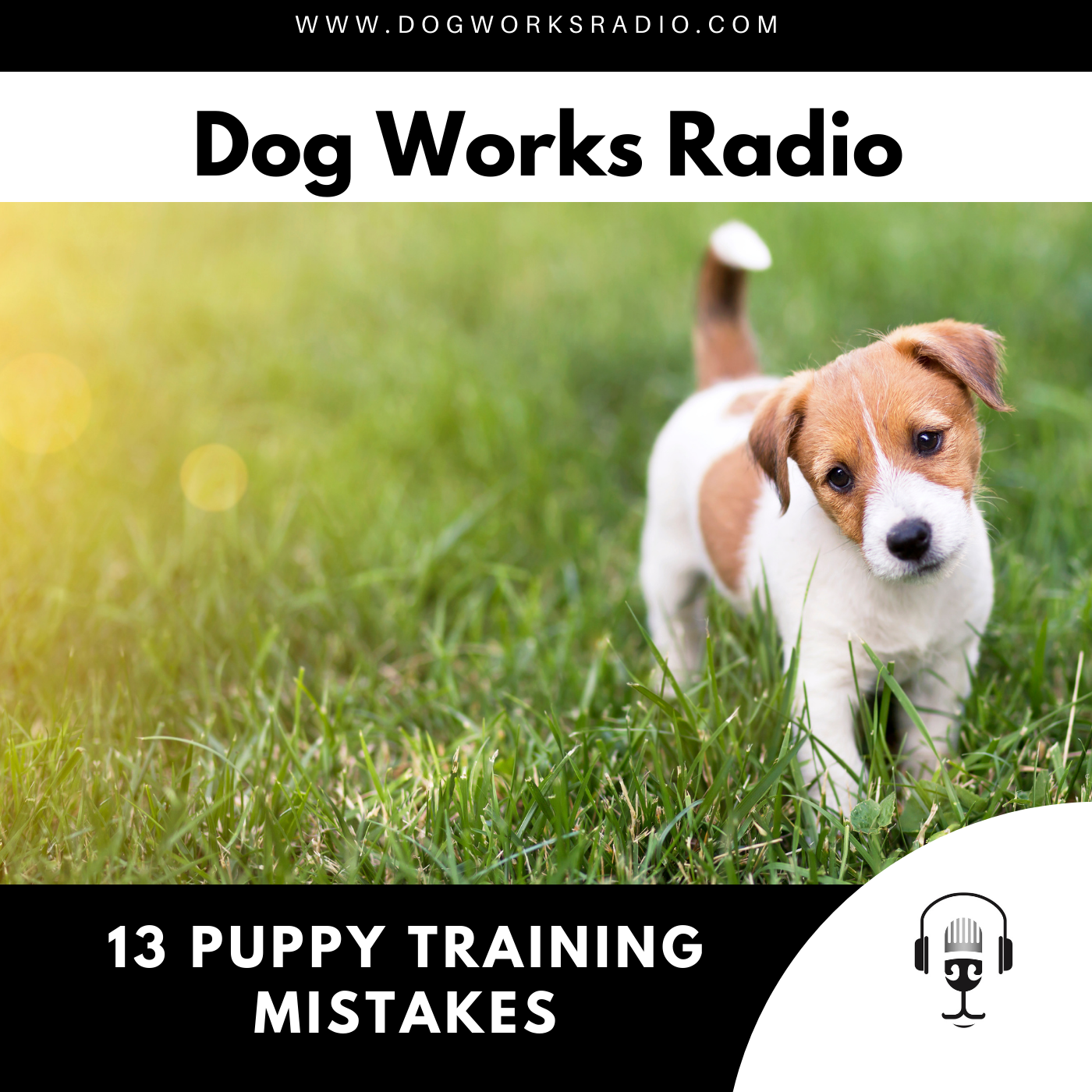 13 Puppy Training Mistakes | Dog Works Radio