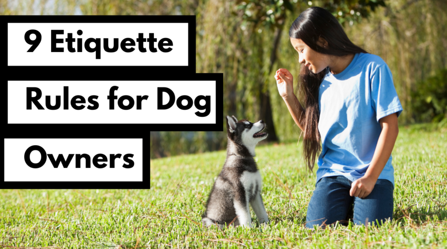 9 Etiquette Rules Every Dog Owner Needs to Memorize | Dog Works Radio