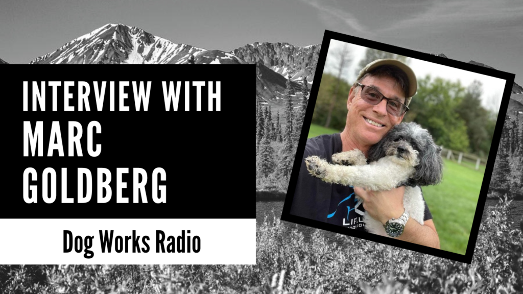Marc Goldberg | Dog Works Radio