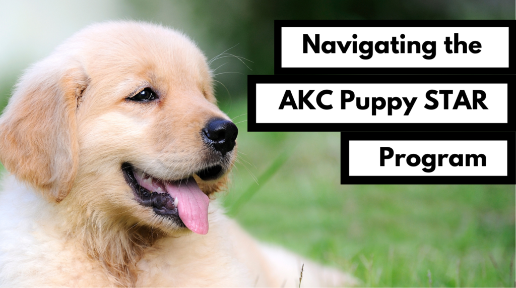 Puppy Parenting 101: Navigating the AKC STAR Program and Beyond | Dog ...