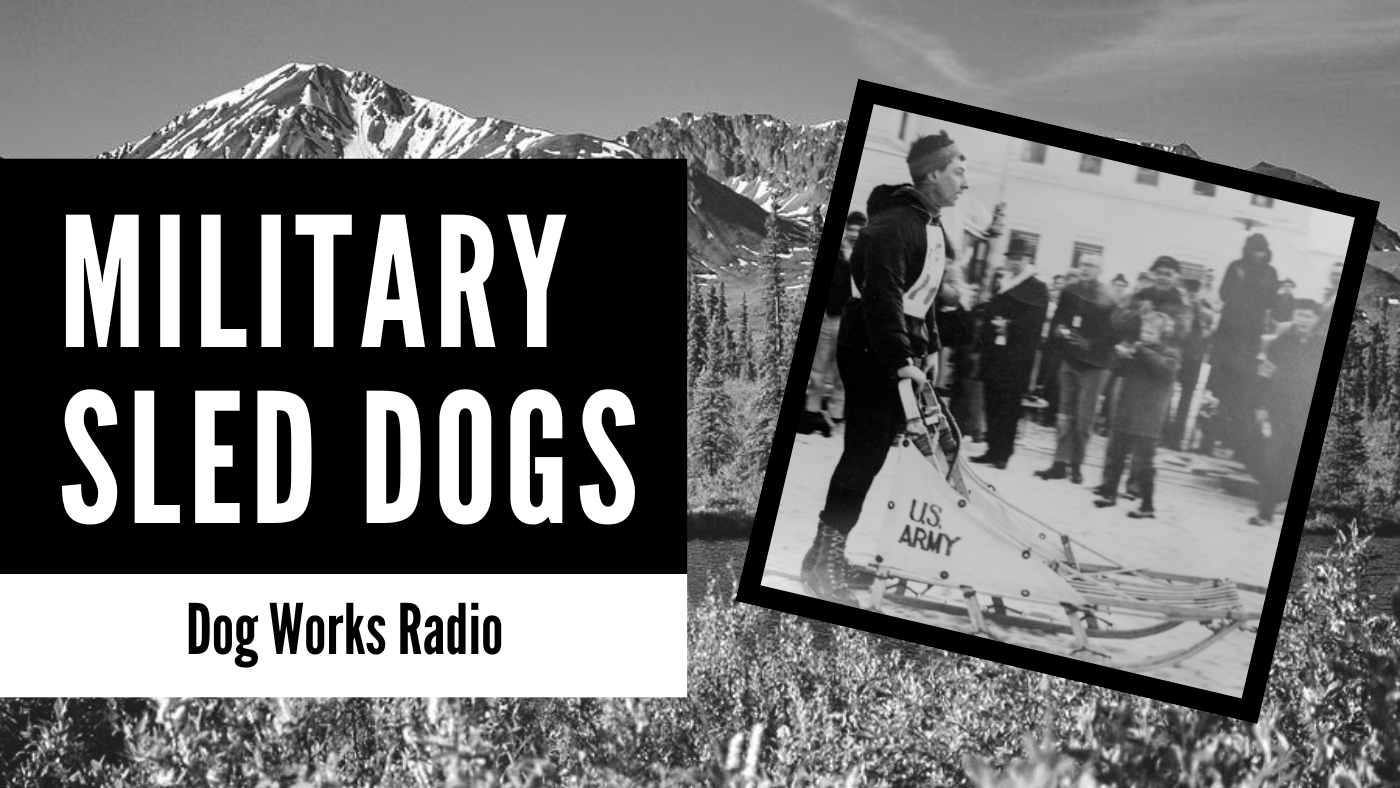 Military Working Dogs in Alaska | Dog Works Radio