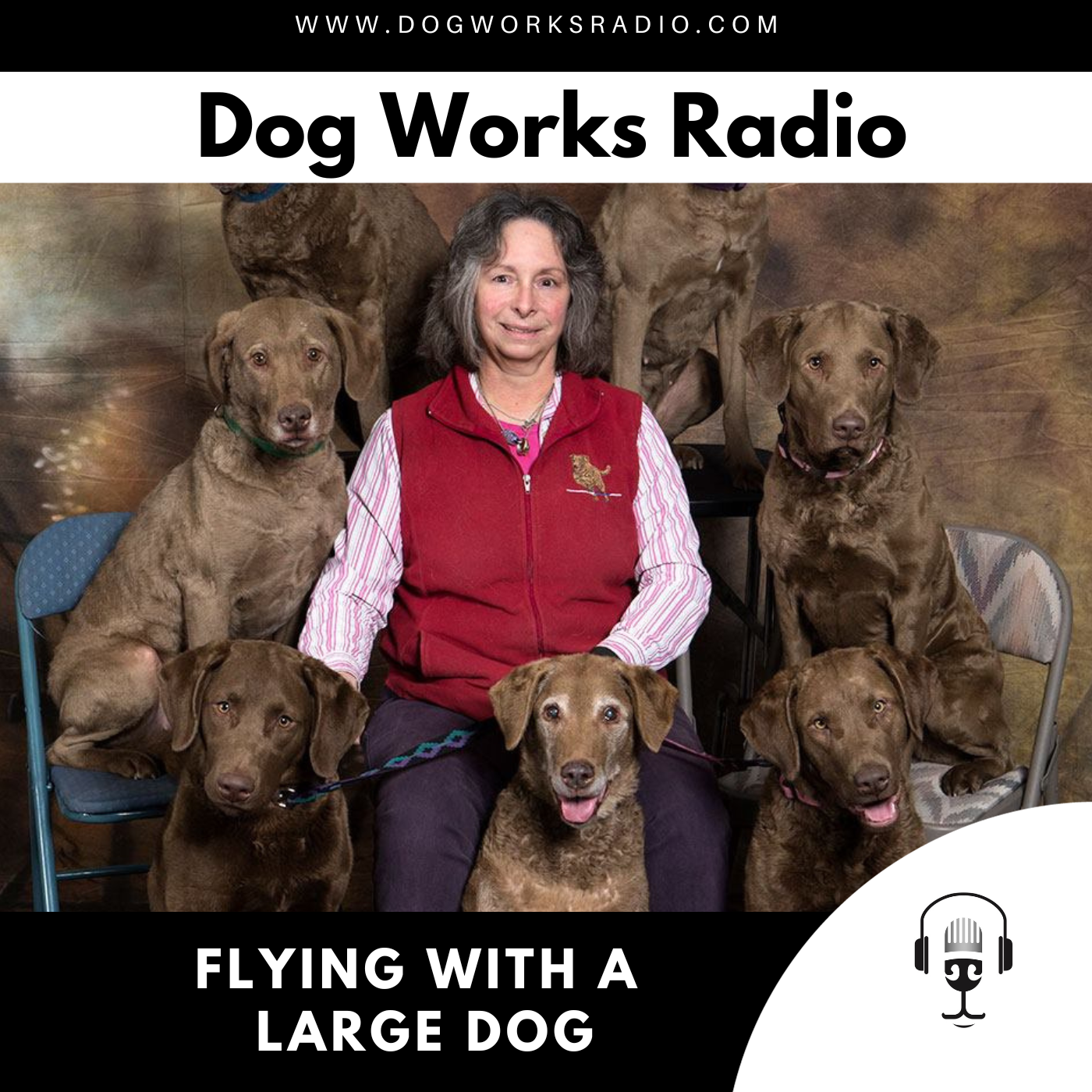 Flying with a large dog w/Lynda Barber-Wiltse | Dog Works Radio