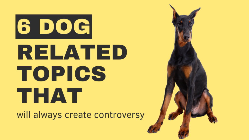 Dog Works Radio | Dog Works Radio